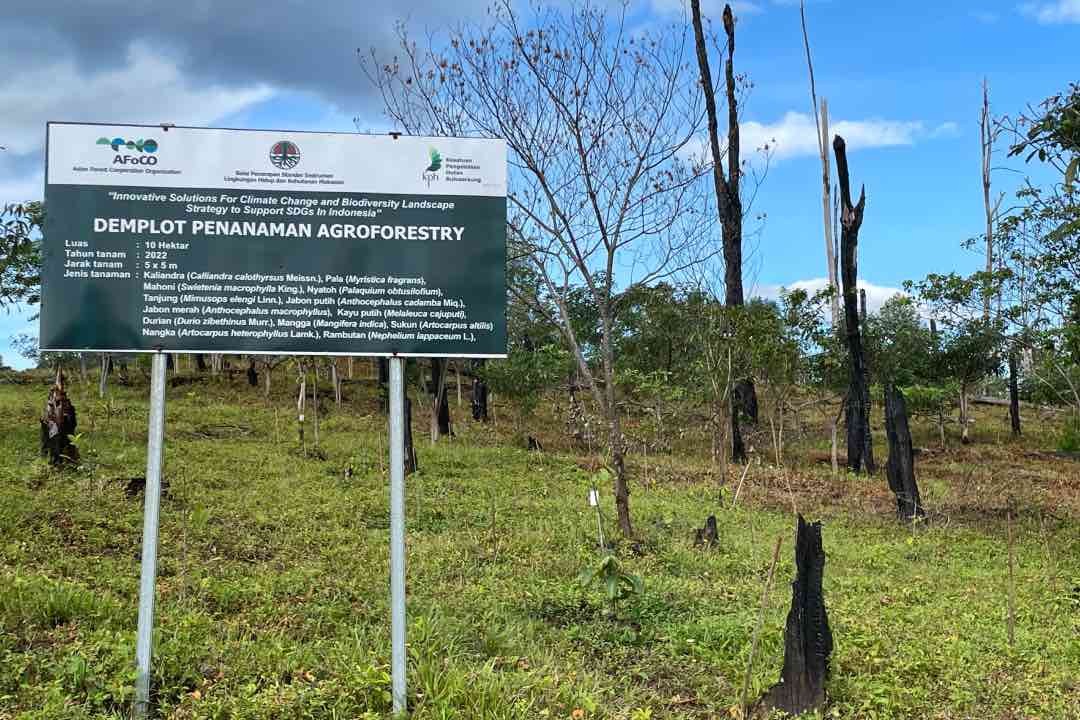 (Digital Intro) AFoCO